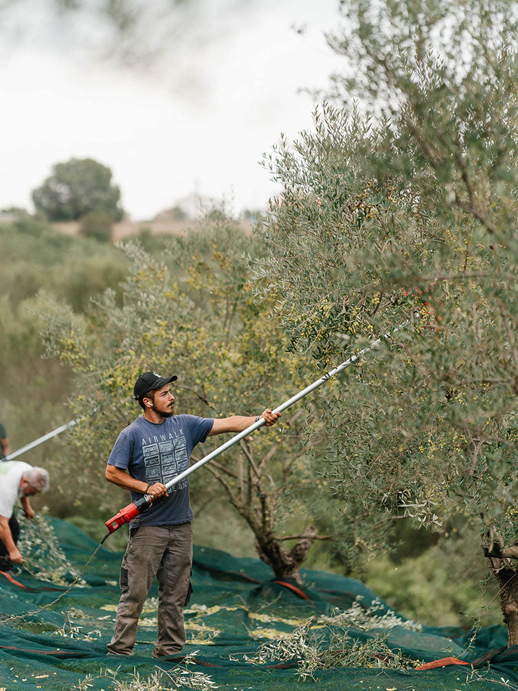 Our Story – Yapapi